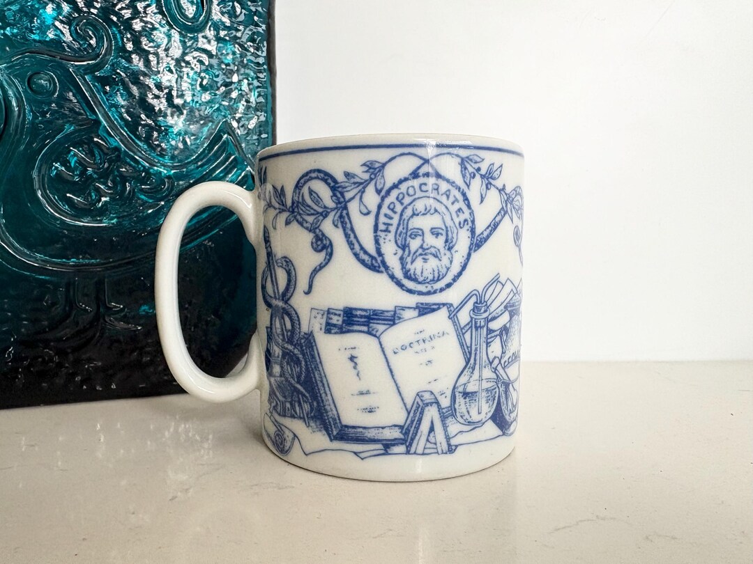 Vintage Spode Blue Room Collection Doctor Mug - Etsy