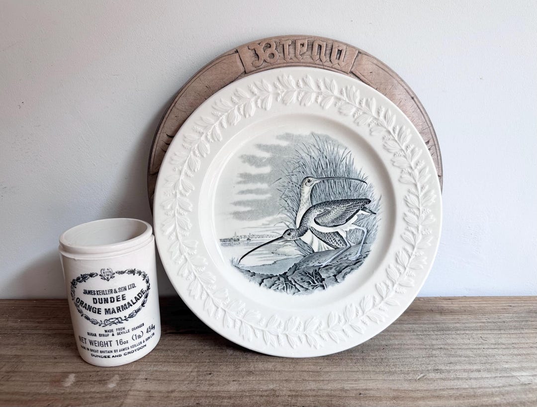 Antique Birds of America Bird Long Billed Curlew Adams Plate by John ...