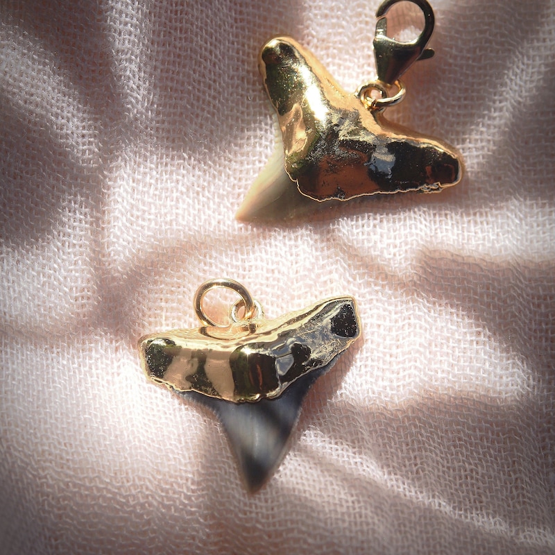 Shark Tooth Charm - Etsy