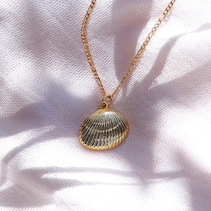 Gold Sea Shell Necklace, Shell Charm Necklace, Dainty Gold Necklace ...
