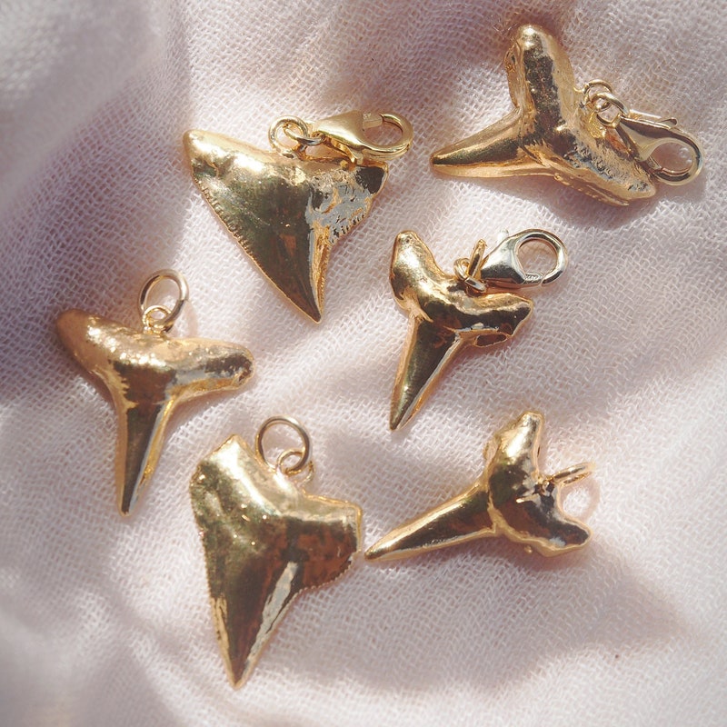 Shark Tooth Charm - Etsy