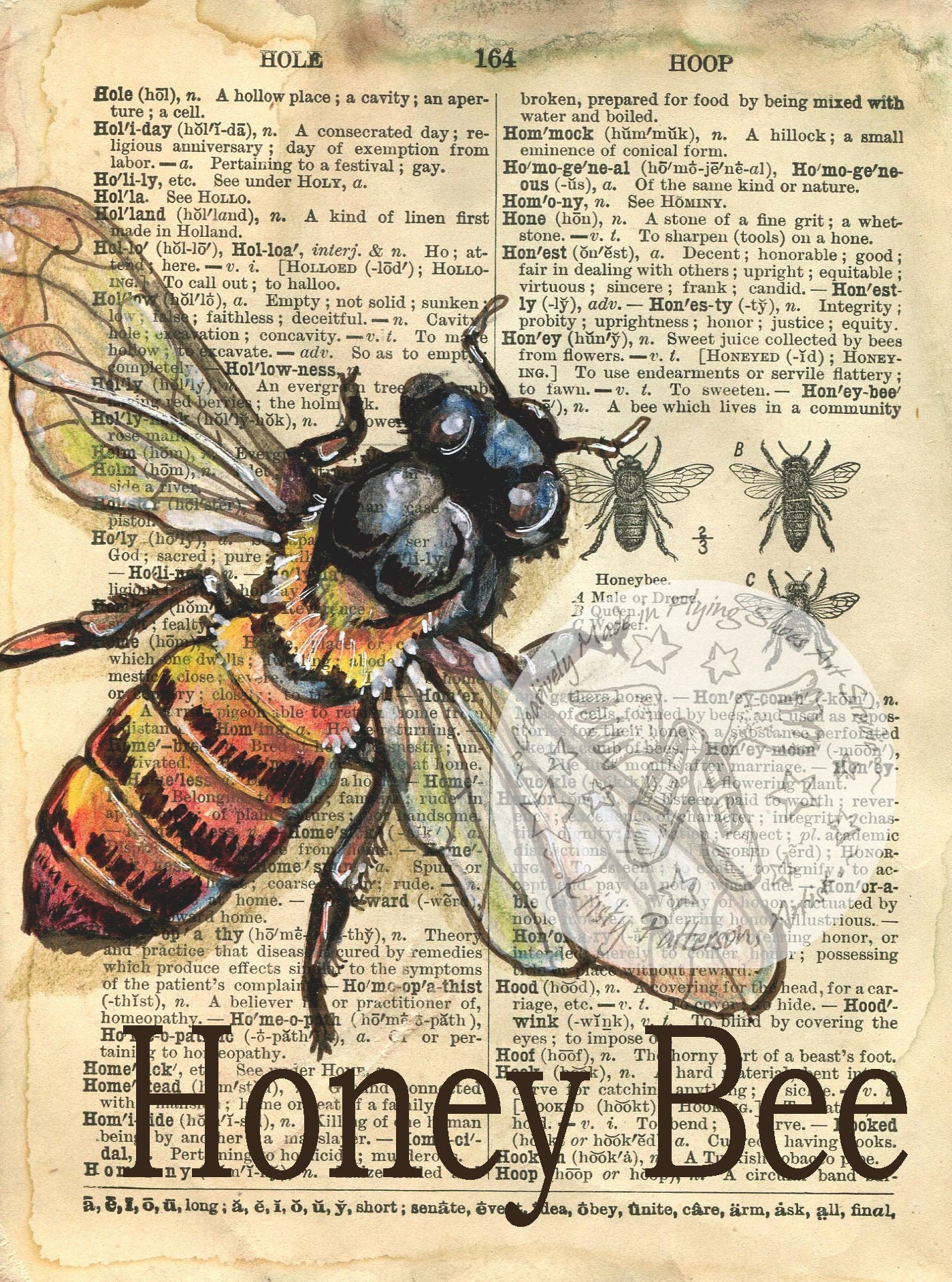 Vintage Honey Bee Drawing