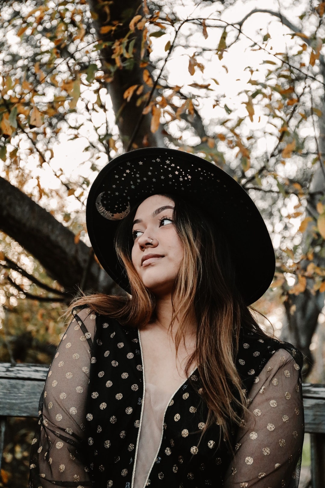 Silver Moon & Stars Wide Brim Fedora: Goth Witch Hat - Etsy