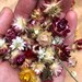 Collection of Teeny Tiny Strawflowers and Gomphrena Babies, Dried ...