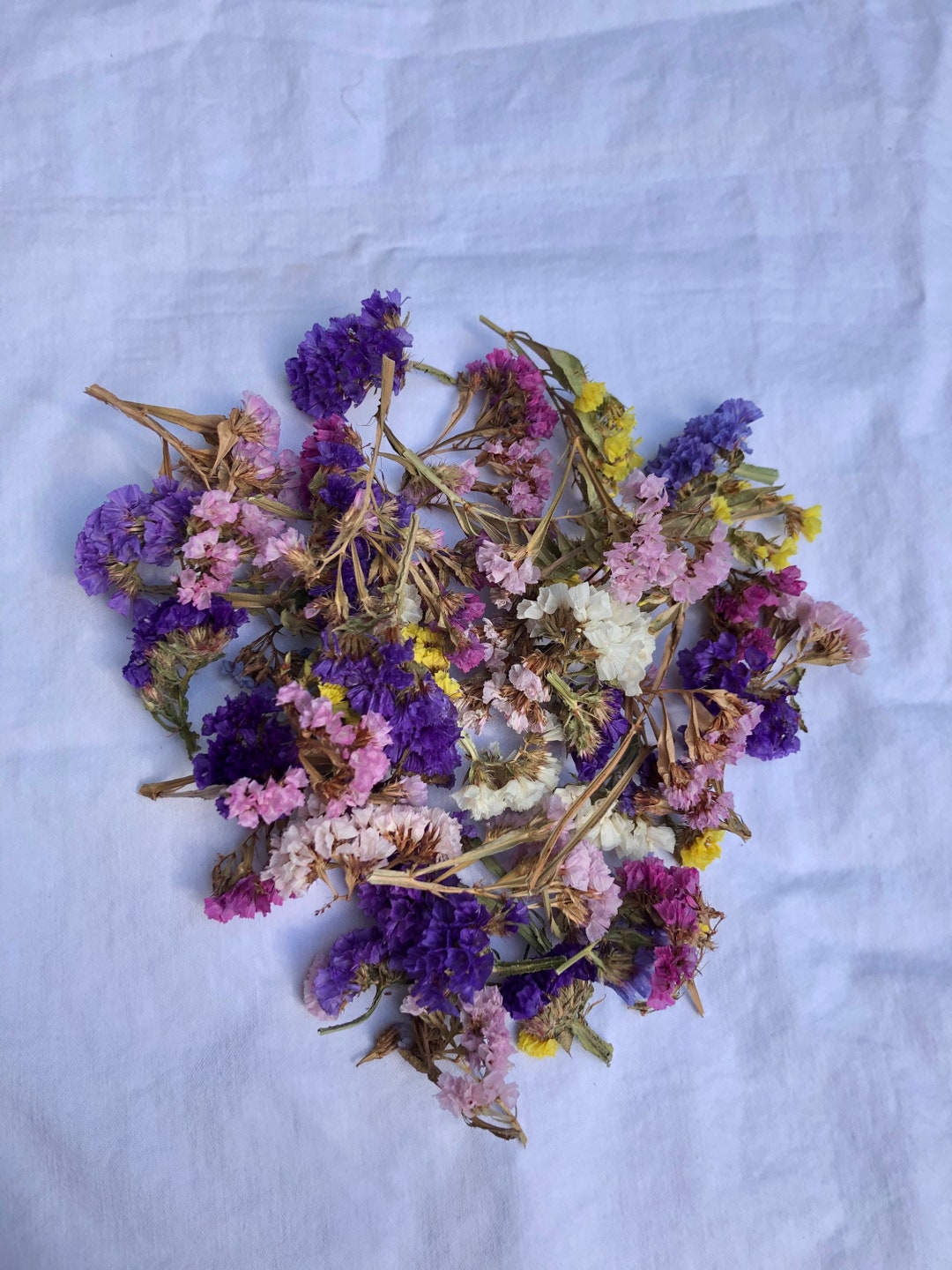Statice 25 Pieces, Dried Flowers, Statice, Strawflowers, Flowers ...