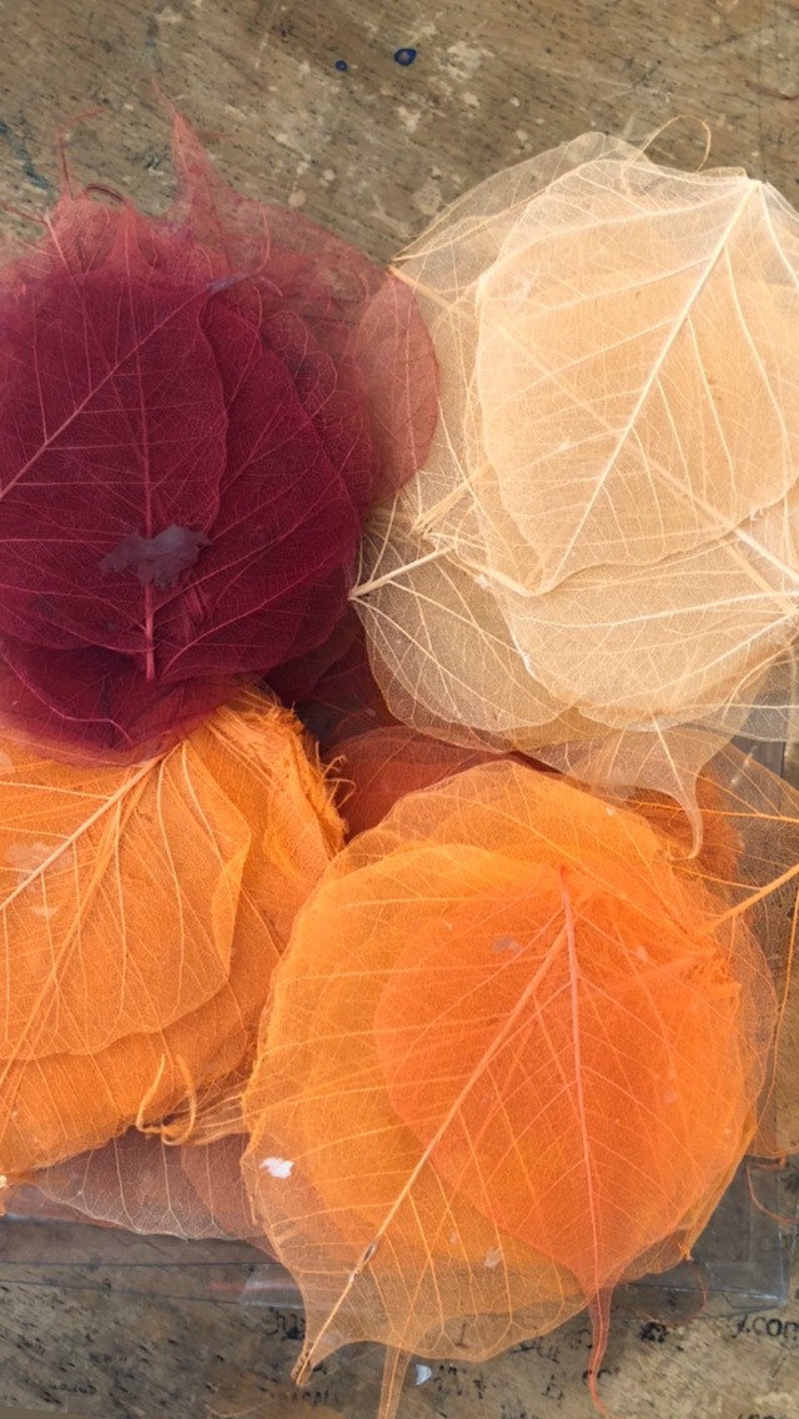 Assorted Leaves 10 Pieces Nature Decor Natural Dried - Etsy