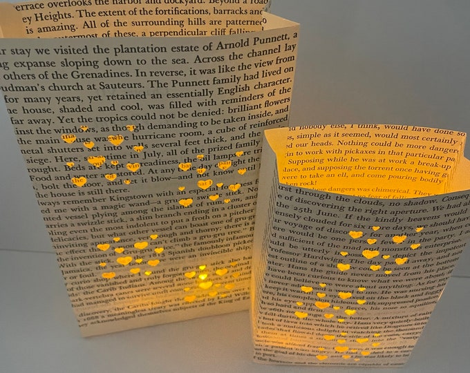 Book Luminaries, Book Wedding, Book Decor, Love, Book Themed, Library ...