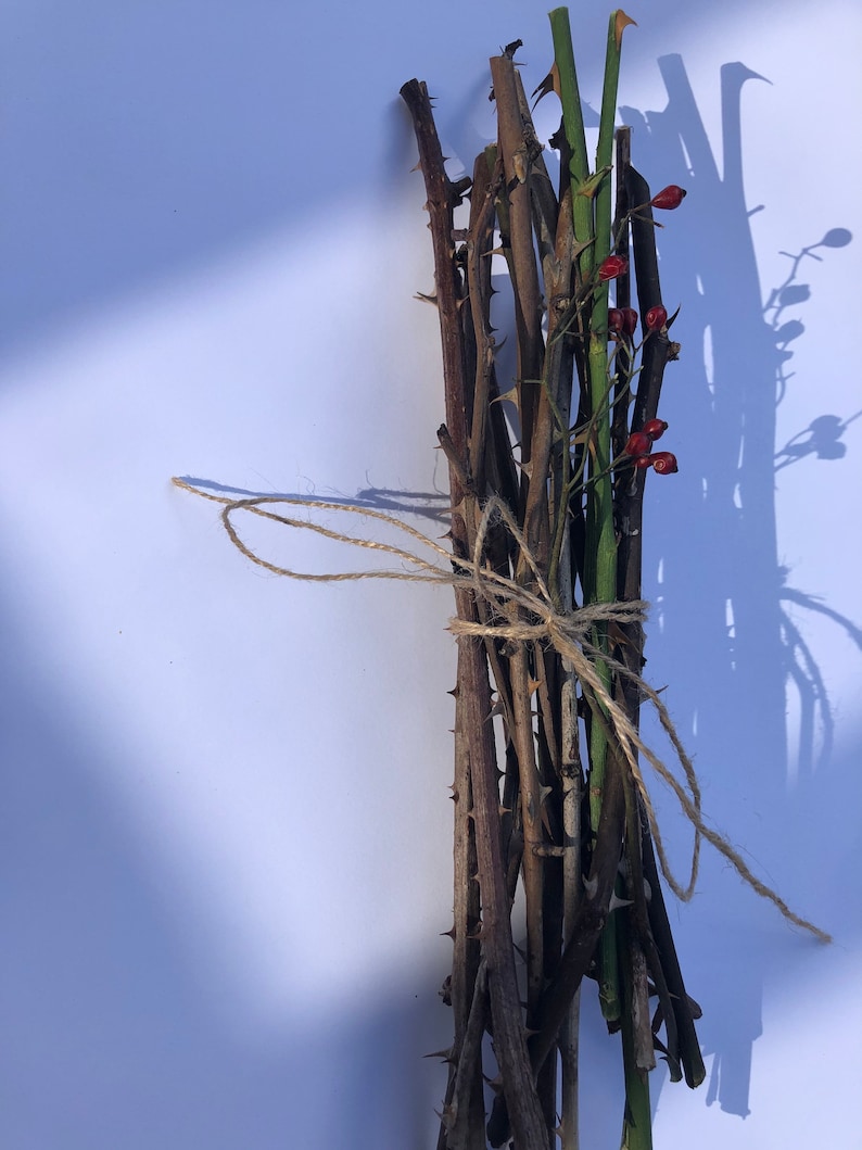 Thorn Branches Dried Rose Stems for Vases and Home Decor - Etsy
