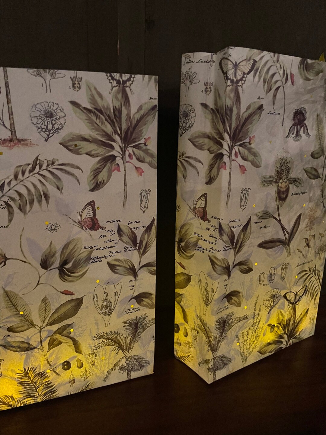 5 Pack Botanical Lanterns, Floral Luminaries, Flowers, Plants, Garden ...