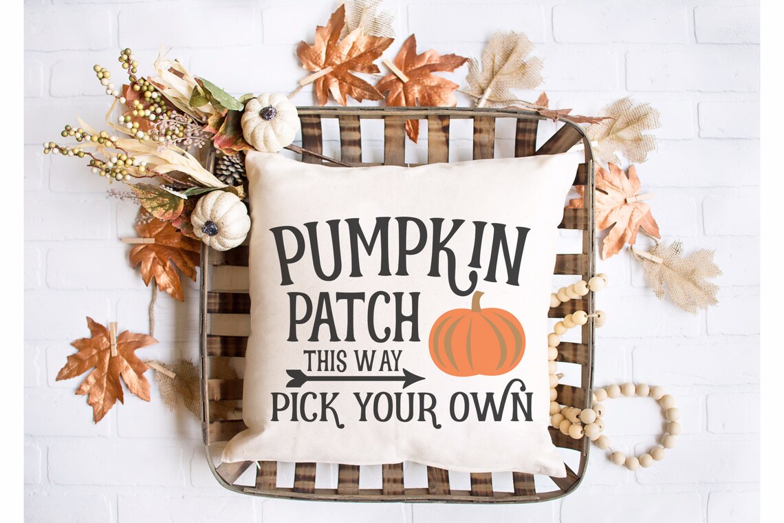 Fall Decor / Pumpkin Patch / Pick your Own / Autumn Decor | Etsy