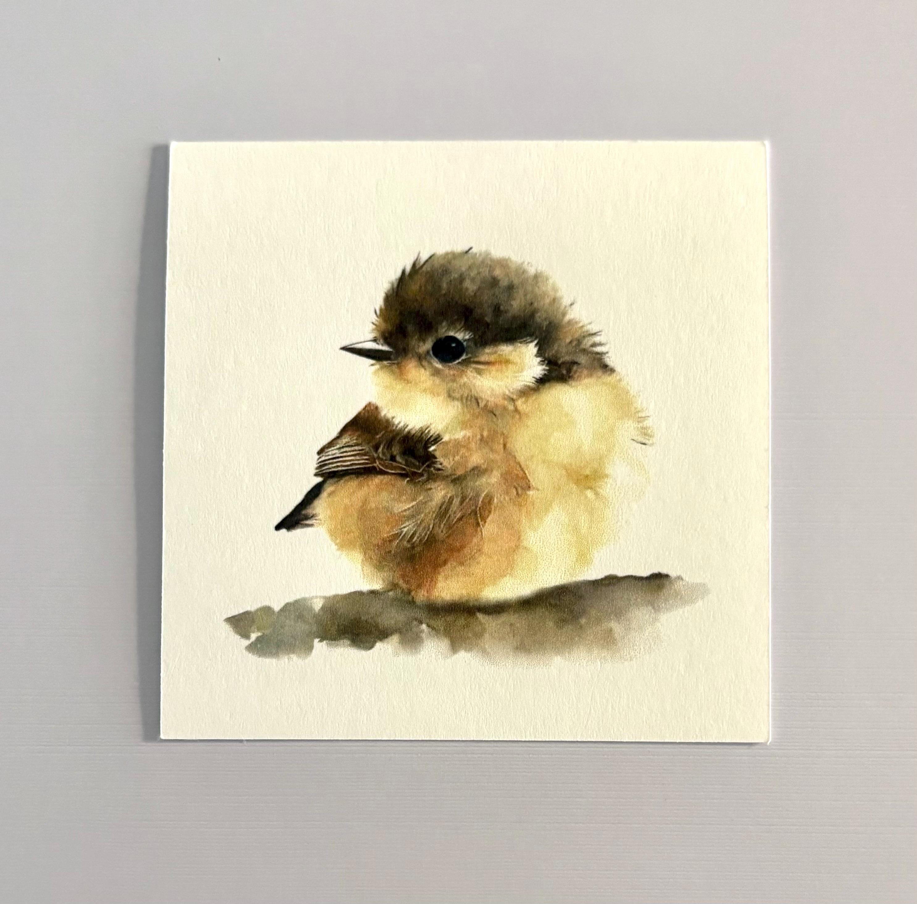 Watercolor Baby Bird Prints: 3x3 Miniature Art, Set of 8 - Etsy