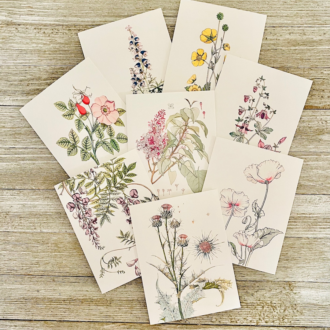 Botanical Wildflower Note Card Set: Watercolor Floral Cards - Etsy