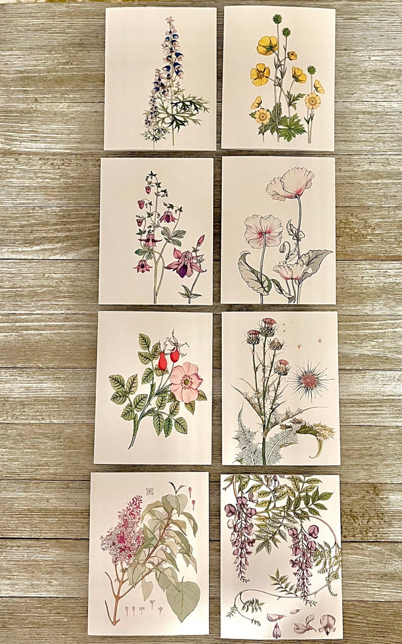 Botanical Wildflower Note Card Set: Watercolor Floral Cards - Etsy