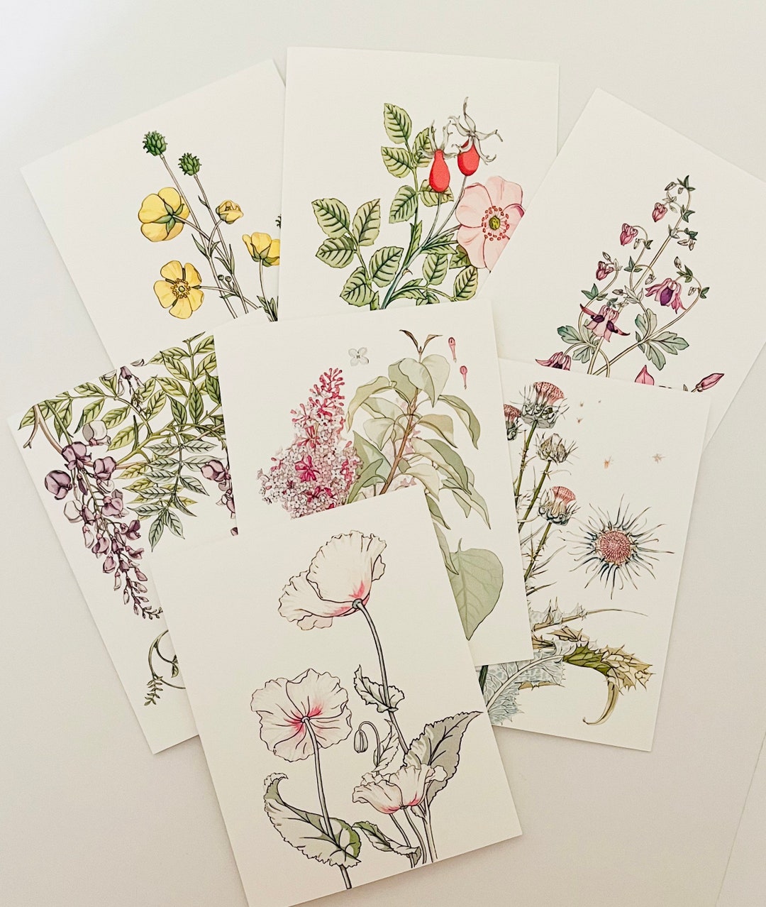 Botanical Note Cards/wild Flower Note Cards/botanical Printed Cards ...