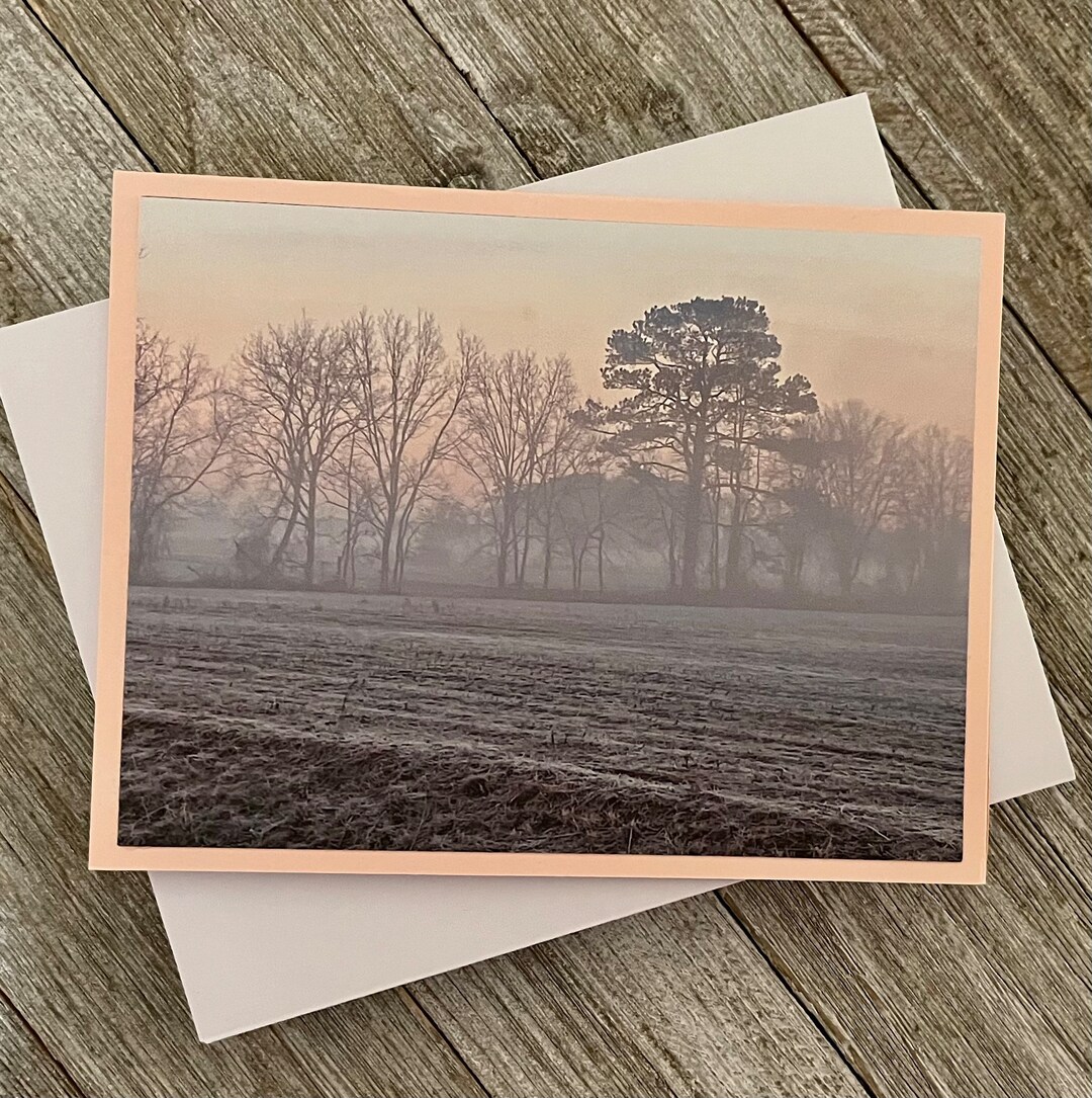 Tree Note Cards/silhouette Tree Note Cards/fog and Frost Tree Photo ...