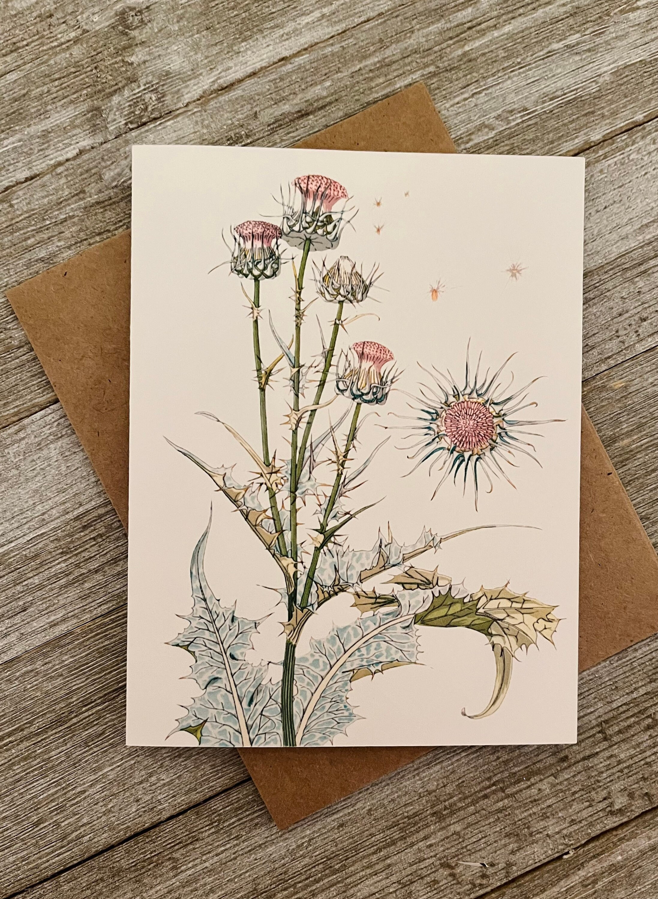 Botanical Wildflower Note Card Set: Watercolor Floral Cards - Etsy