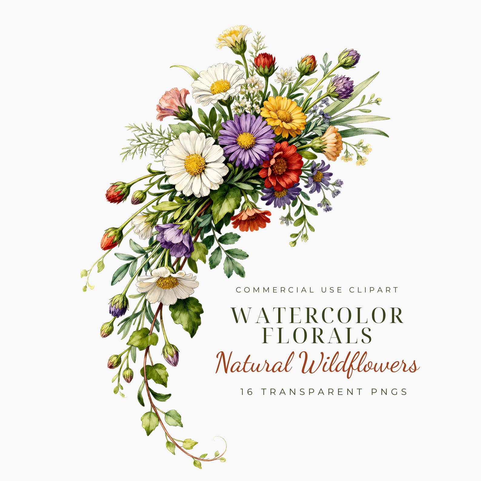 Watercolor Wildflowers Floral Clipart Pack | 16 Flower Arrangement Pngs ...