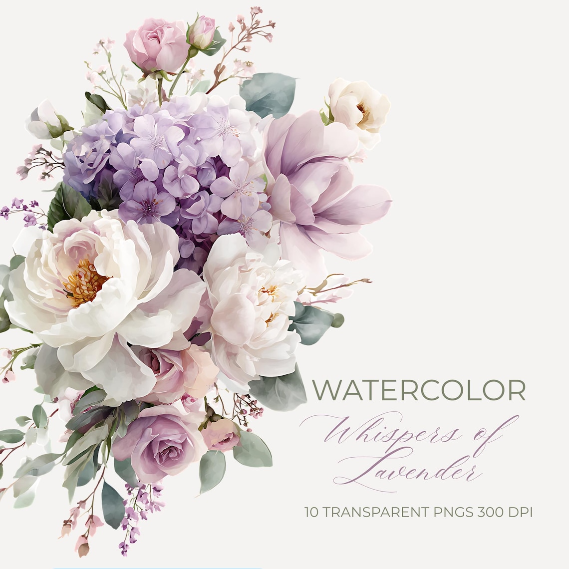 Watercolor Lavender & Ivory Floral Clipart Pack | 10 Trailing Lilac ...