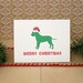 Pit Bull Christmas Card Set, Pitbull Dog Holiday Cards, Staffordshire ...
