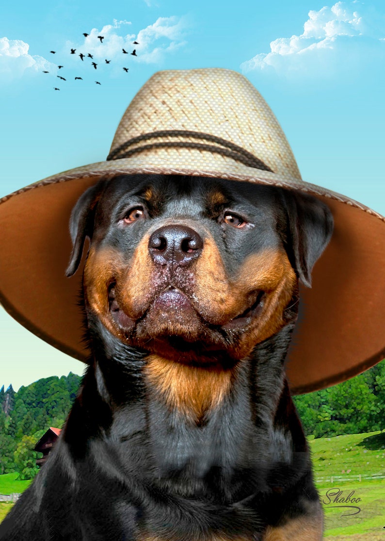 Funny Smiling Rottweiler Dog Blank Greeting Card With Straw Wide ...