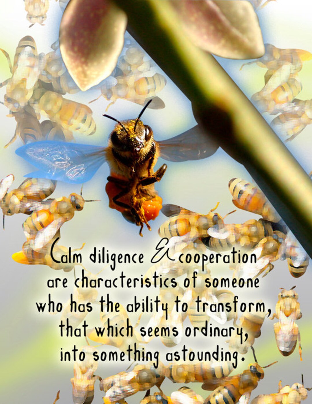 BEE: Unique Blank Greeting Card - Etsy