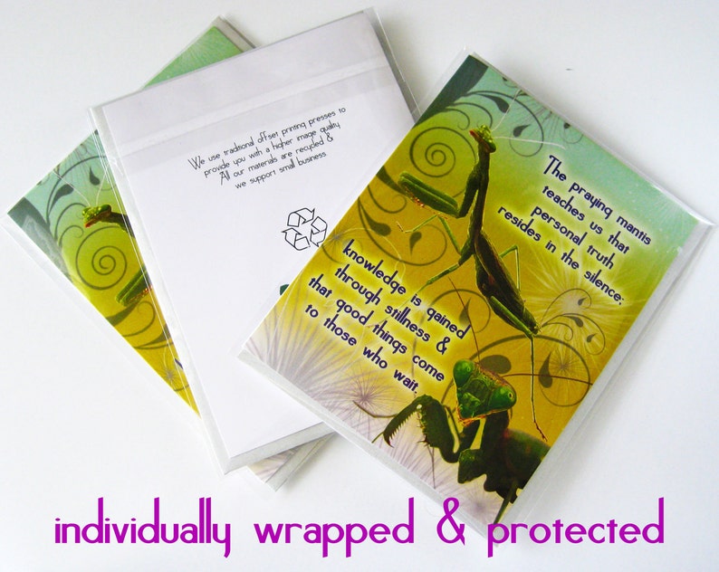 PRAYING MANTIS: Unique Blank Greeting Card - Etsy