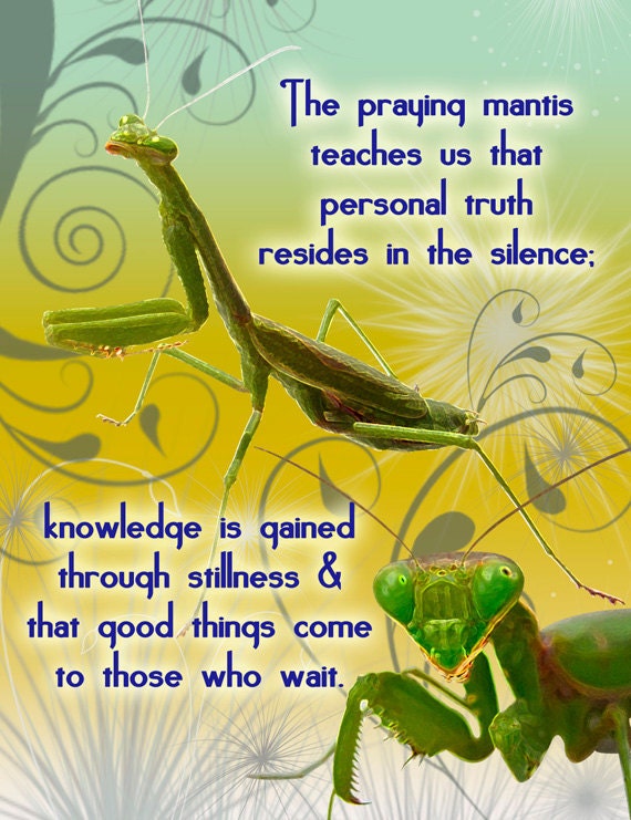 PRAYING MANTIS: Unique Blank Greeting Card - Etsy