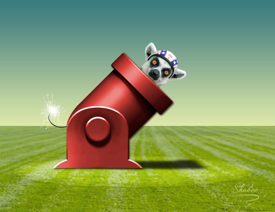 Funny Daredevil Lemur Shooting From A Cannon Motivational Card ...