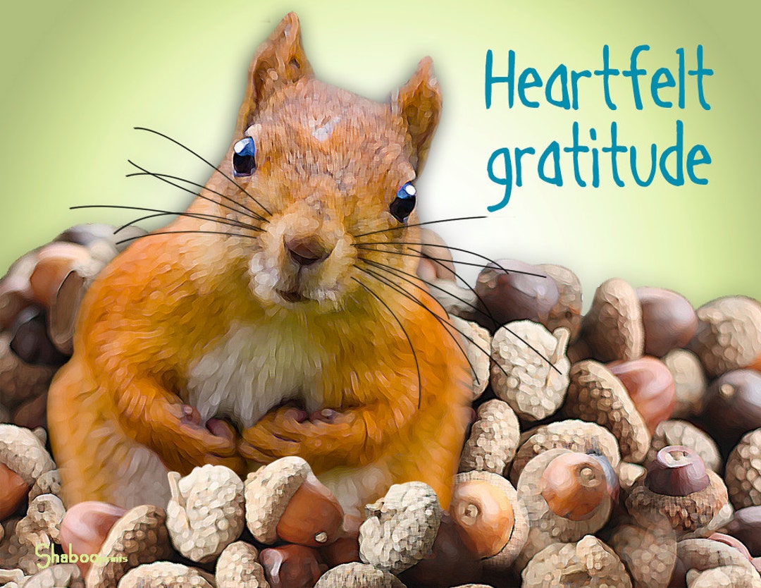 Squirrel in Pile of Acorns Unique Thank You Greeting Card - Etsy