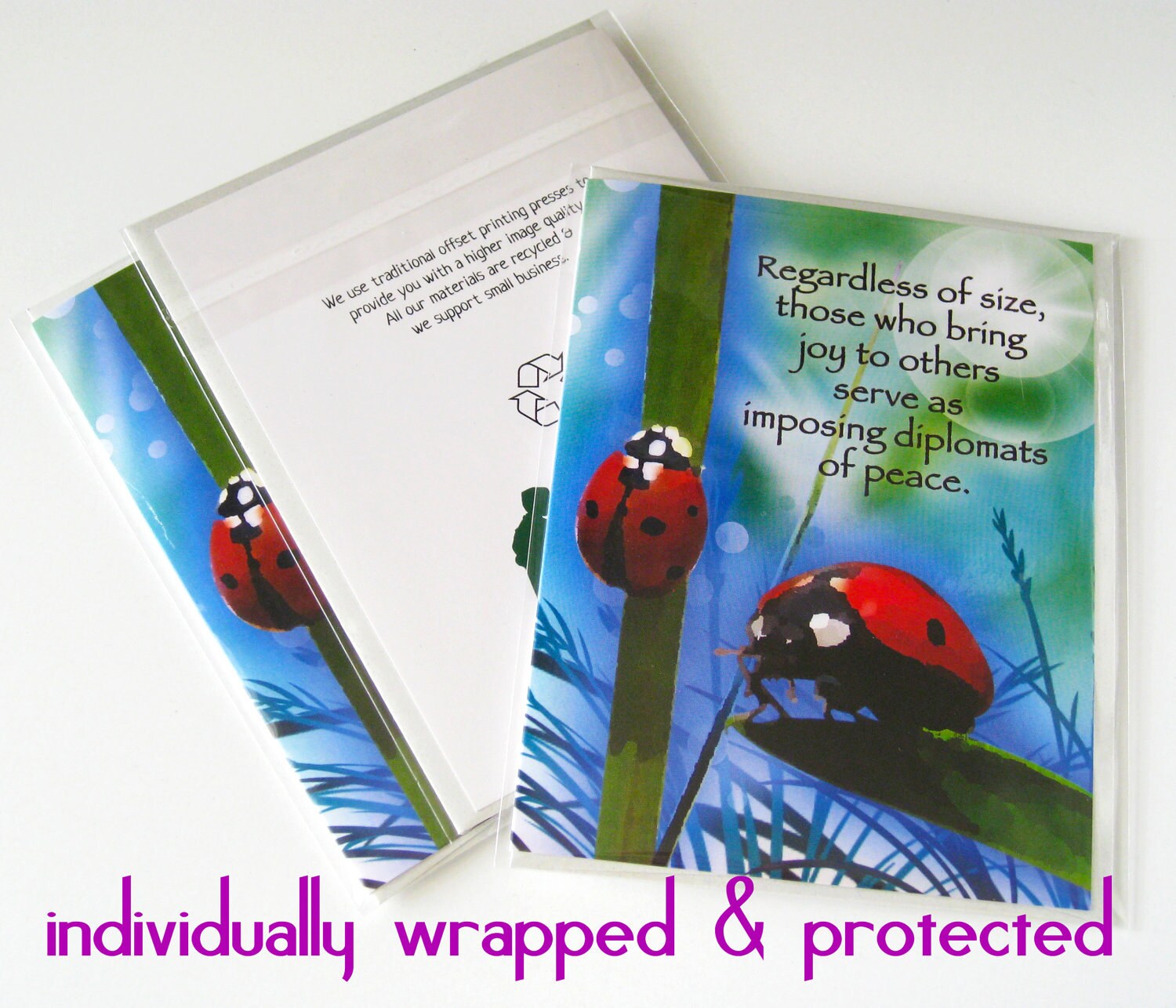 LADYBUG: Unique Blank Greeting Card - Etsy