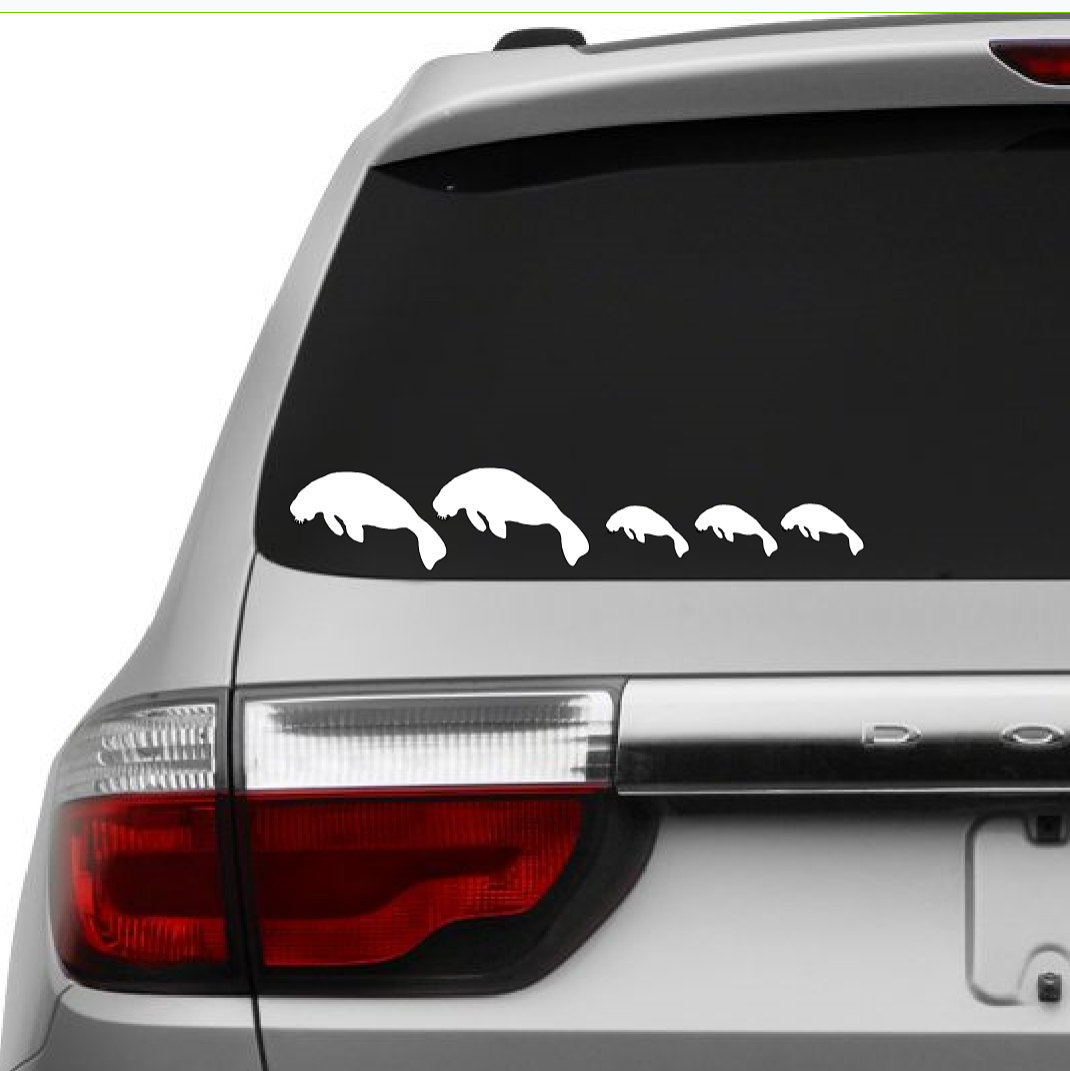 Rear Window Vinyl Stickers - Etsy
