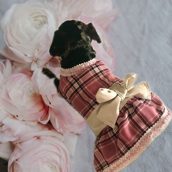 Ruffle Dog Harness - Etsy