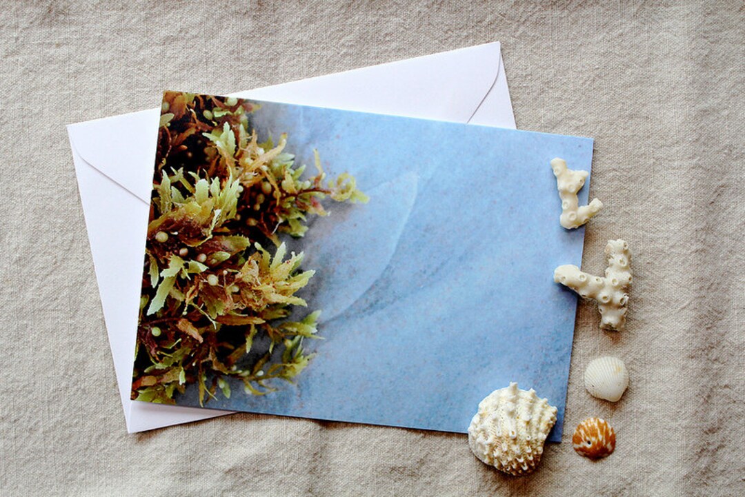 Seaweeds Card Blank Inside - Etsy