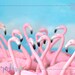 Downloadable Flamingo Sewing Pattern - Etsy