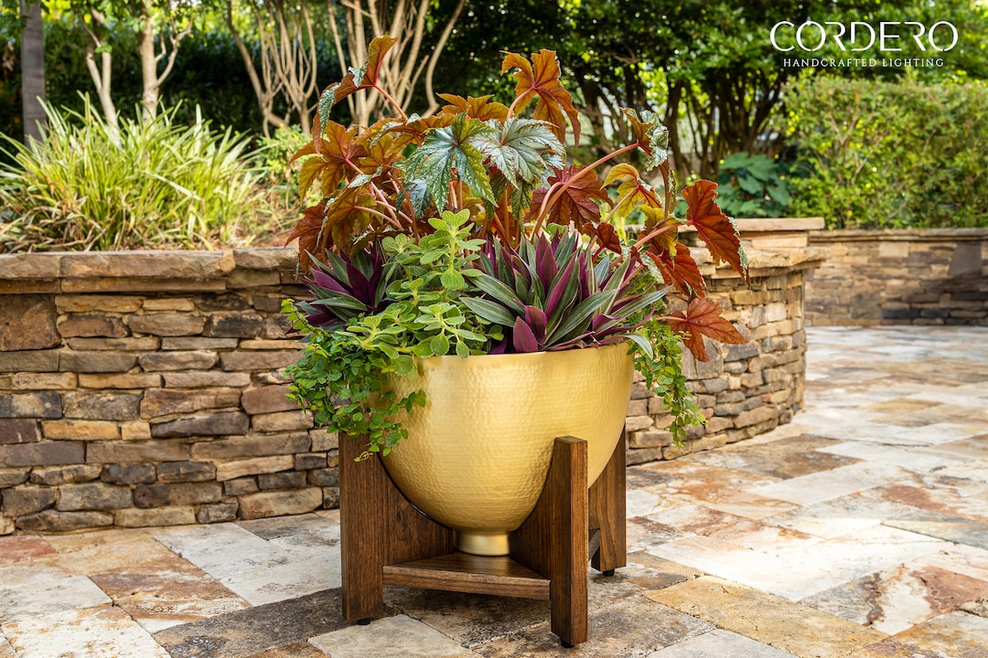 Botanica Chalice Planter - Etsy