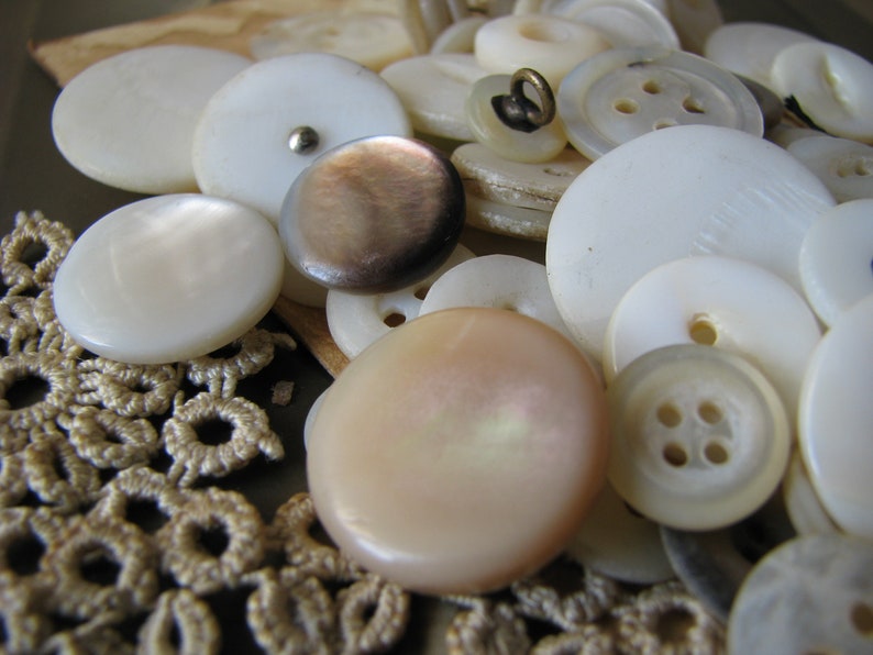 Sewing & Fiber Antique Sewing Buttons 100 Antique Shell Buttons 100 ...