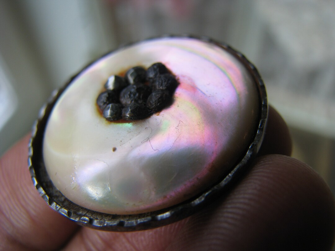 Antique Carved Shell Button, Antique Mother of Pearl Button, Cut Steel ...