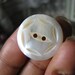 Antique Carved Shell Button, Antique Mother of Pearl Button, Mother of ...