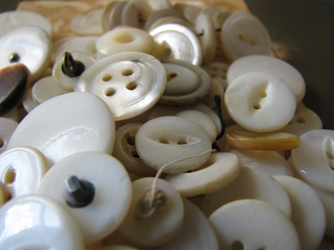 100 Antique Mother of Pearl Buttons, 100 Antique Shell Buttons, Antique ...