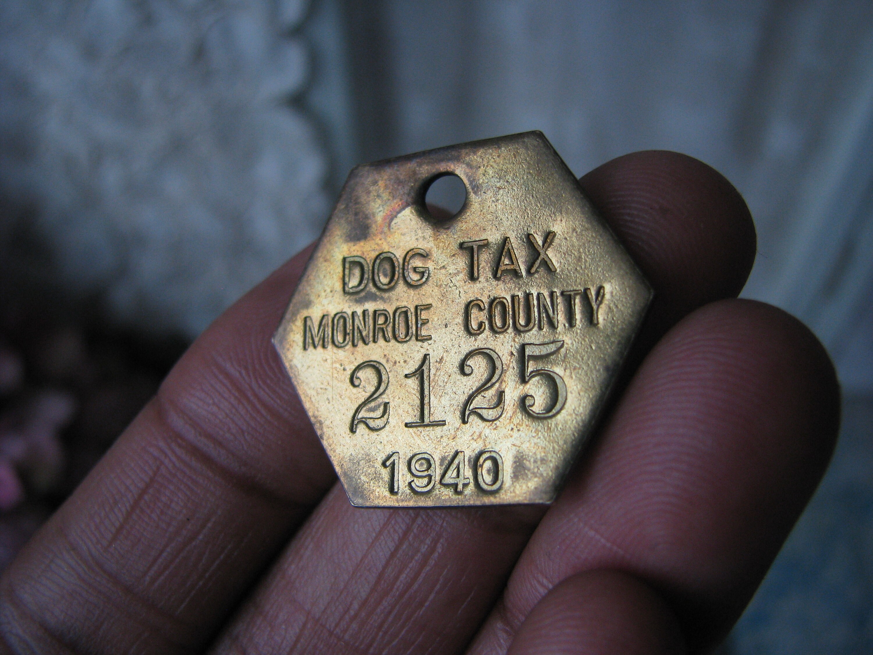 Antique Dog License Tag Stamped Brass Tag Dog Collar Tag | Etsy