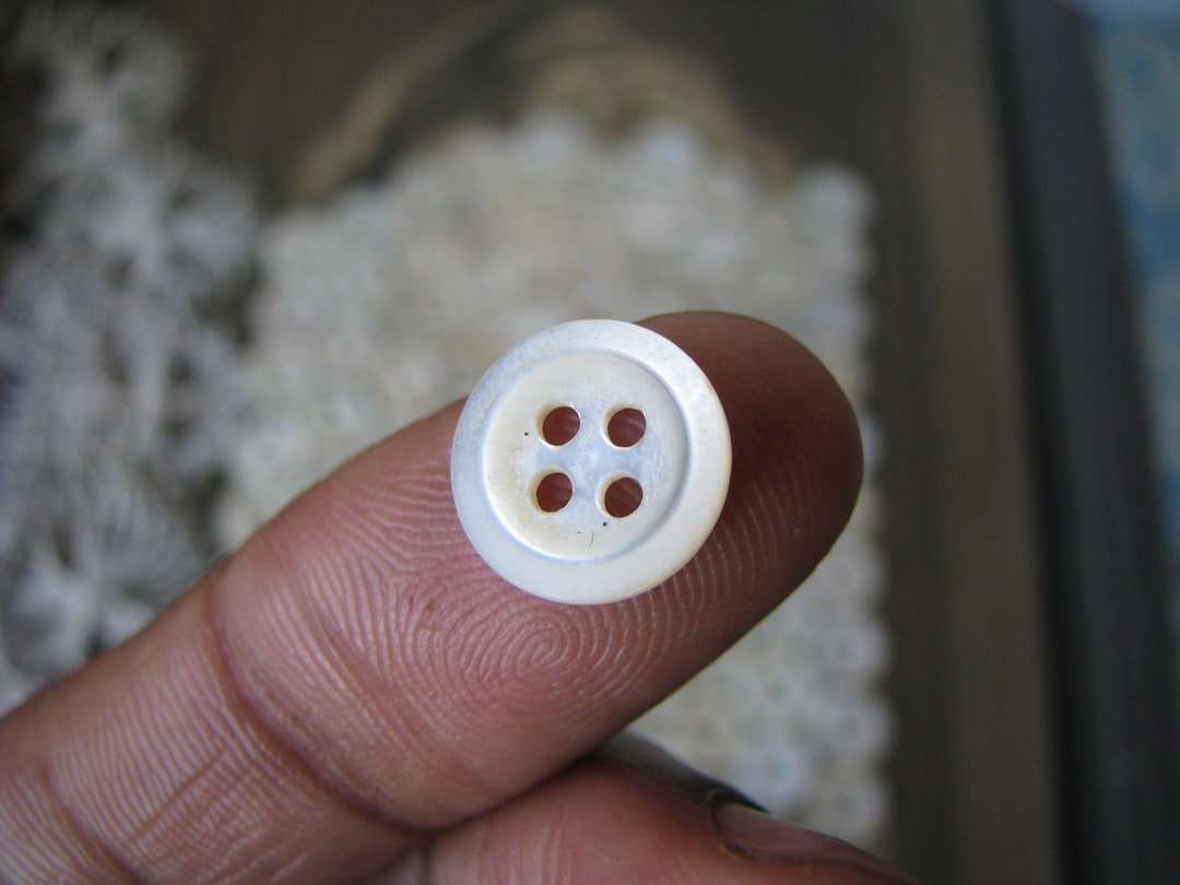 Antique Carved Mother of Pearl Buttons, Victorian Shell Buttons (10mm ...