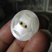 Antique Carved Shell Button, Antique Mother of Pearl Button, Mother of ...