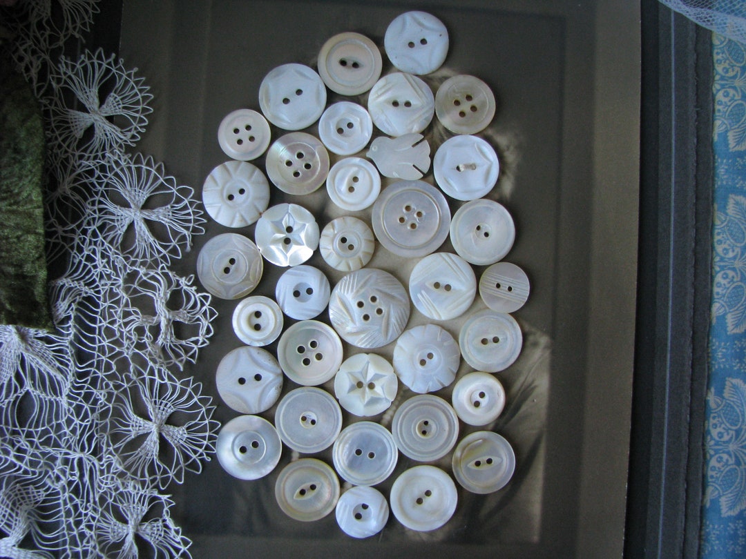Small Antique Carved Shell Buttons, Antique Mother of Pearl Buttons ...