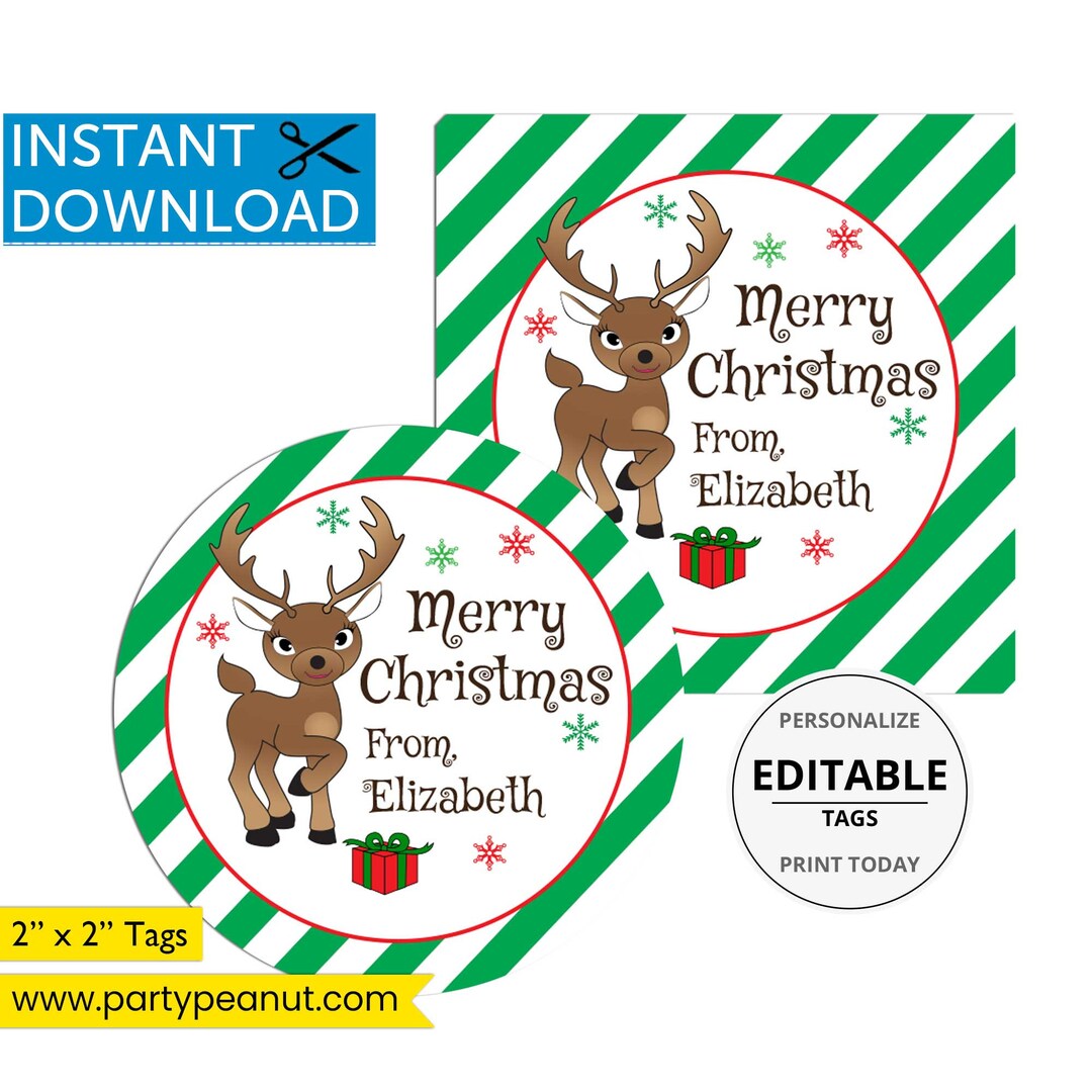 Reindeer Gift Tags, Editable Christmas Gift Tags, Teacher Gift, Kids ...