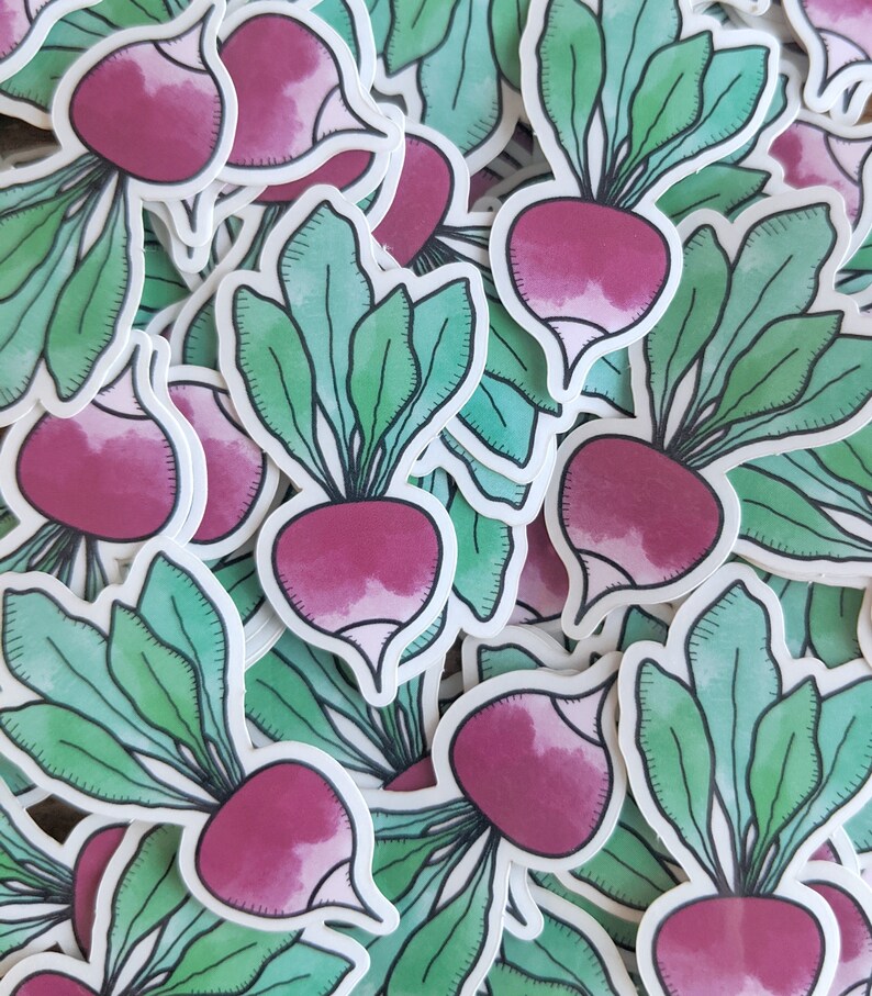 Eat Your Veggies Sticker Pack Waterbottle Sticker Hydro - Etsy