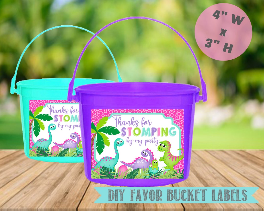 Girly Dinosaur Favor Bucket Labels-girl Dinosaur Birthday-girl Dino ...