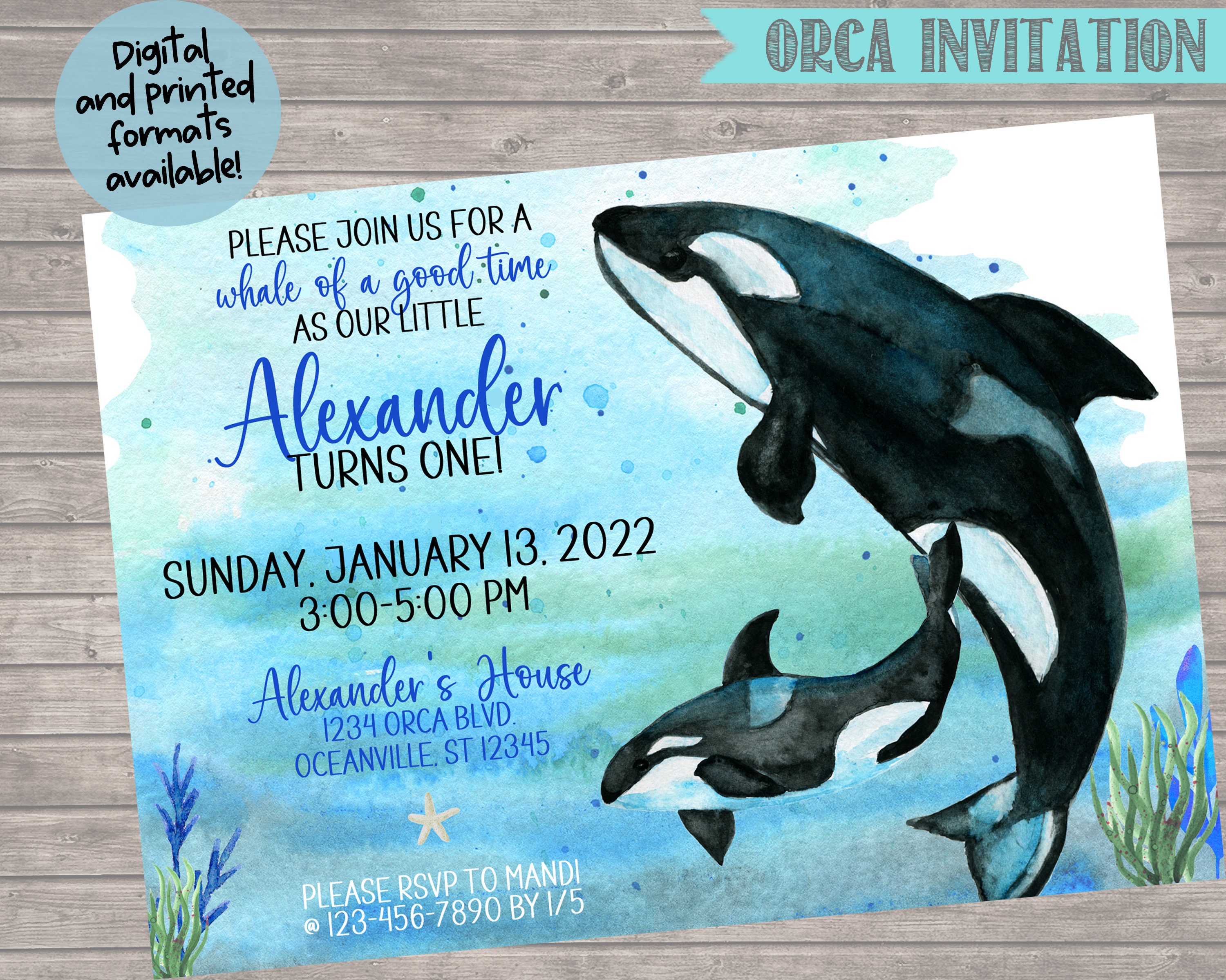 Orca Whale Party Supplies