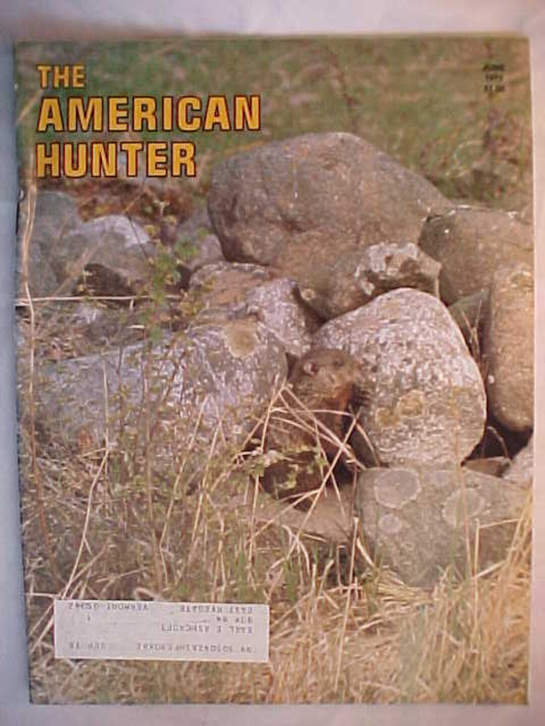 June 1975 the American Hunter Magazine With Cover Art by Richard P ...