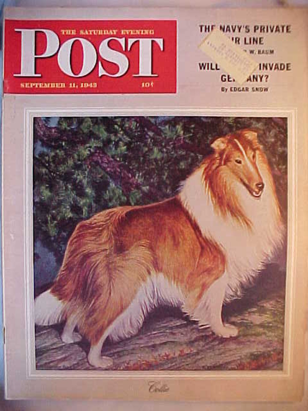 September 11, 1943 Saturday Evening Post Magazine With Dog Cover Art by ...