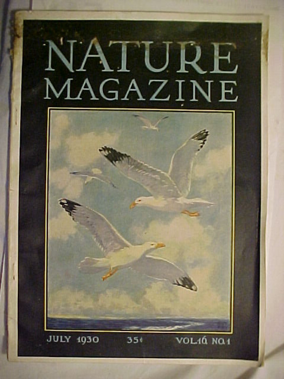 July 1930 Nature Magazine Fully Illustrated Has 68 Pages of - Etsy